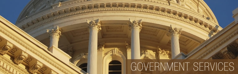 Government Services and Its Future Trends
